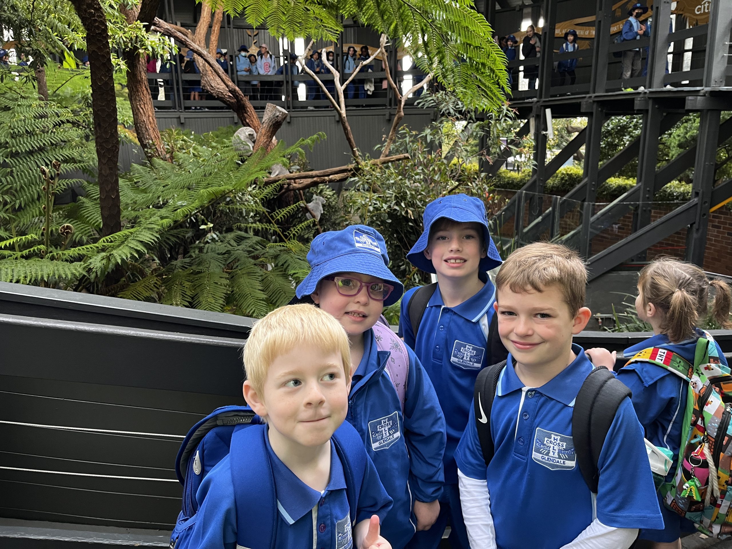 K-2 Excursion to Taronga Zoo - Holy Cross Primary School, Glendale