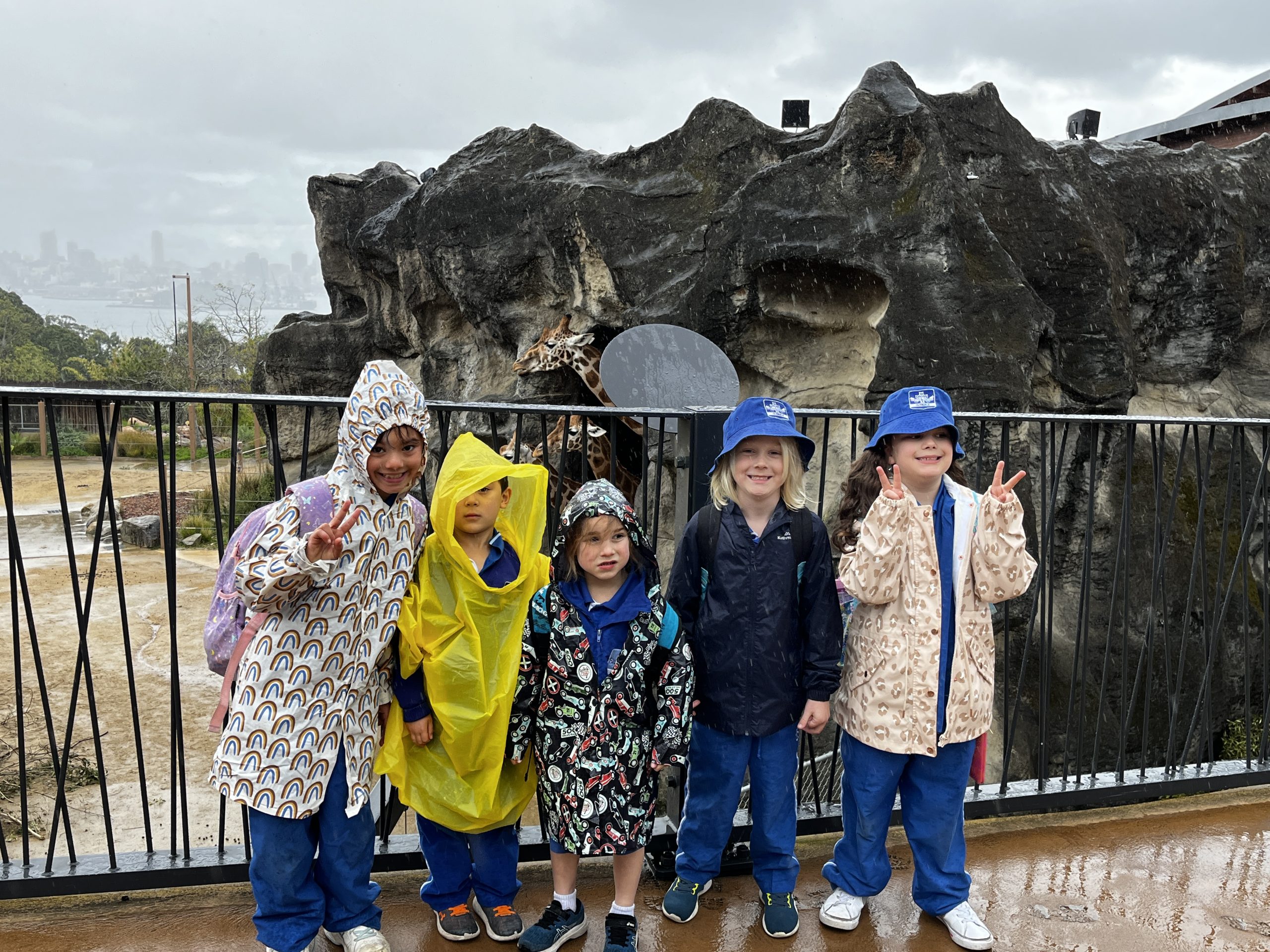 K-2 Excursion to Taronga Zoo - Holy Cross Primary School, Glendale